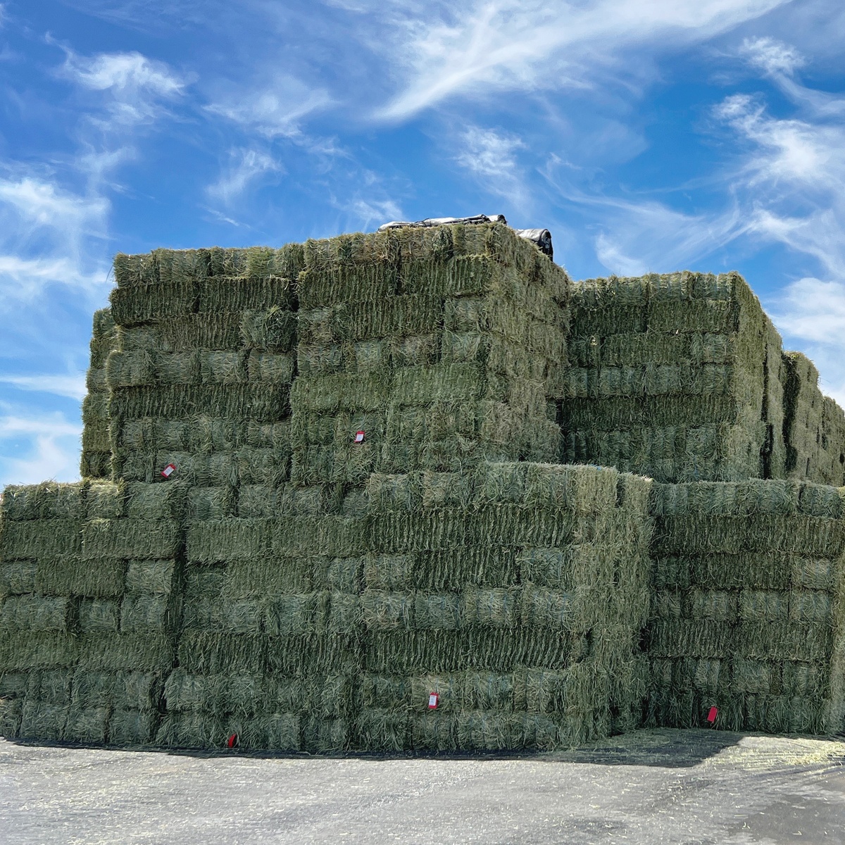 Agricultural Covering | Inland Tarp